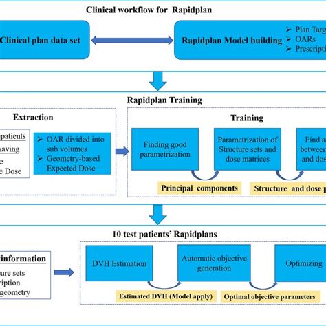 Schematic Of The Workflow For Rapidplan Modelling Download Scientific Diagram