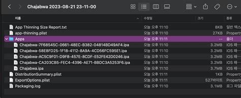 Ios 배포 Ipa란 Ipa 디바이스에서 실행하는 방법