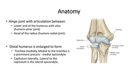 Fractures Around Elbow Lateral Condyle And Intercondylar Fractures Pdf