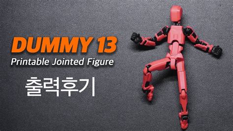 Printable 사이트에서 Dummy 13 피규어 데이터 출력 해보기 3dprinter Printable Dummy13
