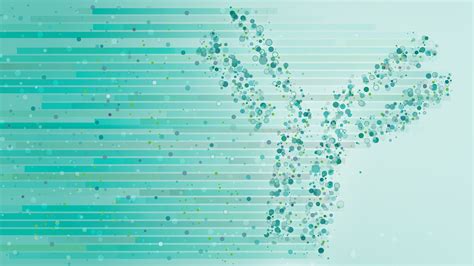 Bioprocess Chromatography Bio Rad