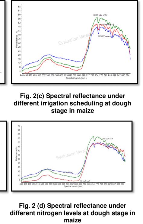 A Spectral Reflectance Under Different Irrigation Scheduling At