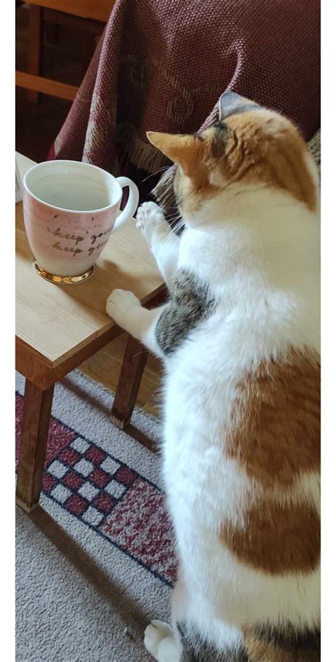 Can I Have Some Coffee Raww