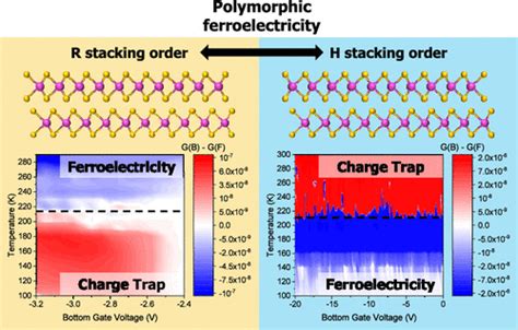 Polymorphic Ferroelectricity In Artificially Stacked Mos2 Interfaces