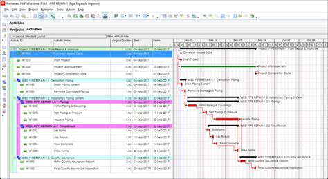 Primavera P6 Professional Quick Tips Setting Activity Table Graphics