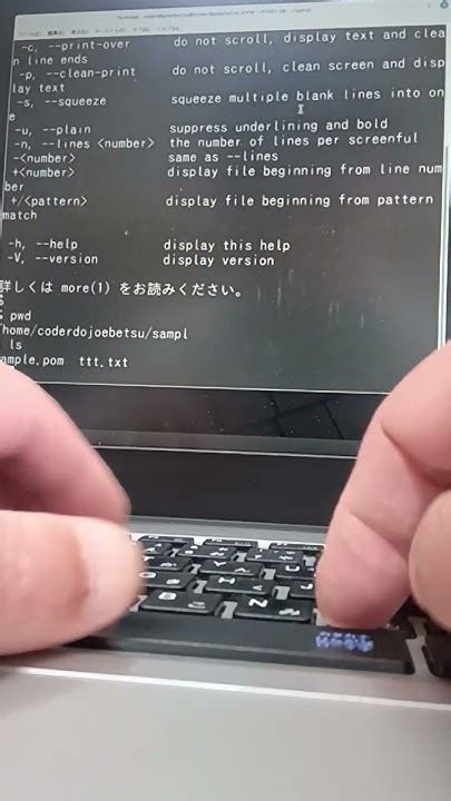 moreコマンドで、ファイルをちょっとずつ表示〜リナックスコマンドを叩く〜 coderdojo command