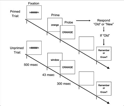 Schematic Of Experimental Design Download Scientific Diagram