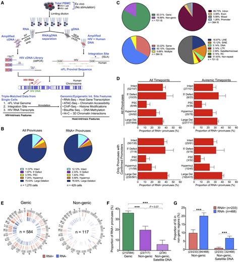 Parallel Analysis Of Transcription Integration And Sequence Of Single Hiv 1 Proviruses Pmc