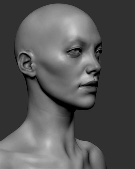 Artstation Female Bust Niyazi Selimoglu Facial Anatomy Head Anatomy