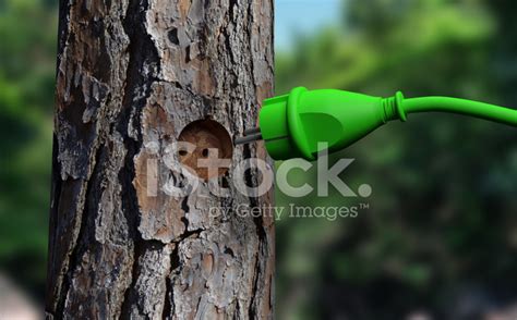 Plug The Tree Stock Photo Royalty Free FreeImages