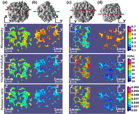 Spatial Distributions Of Voxel Specific Microporosity And Elastic Download Scientific Diagram