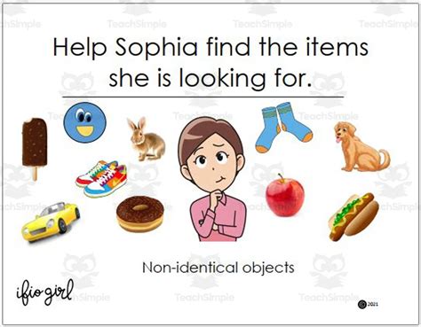 Sortgroup Non Identical Objects Early Learner Activity By Teach Simple