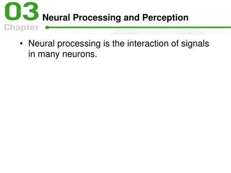 Ppt Chapter 3 Neural Processing And Perception Powerpoint