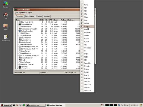 Systemmonitor Remember Column Configurations · Issue 14951