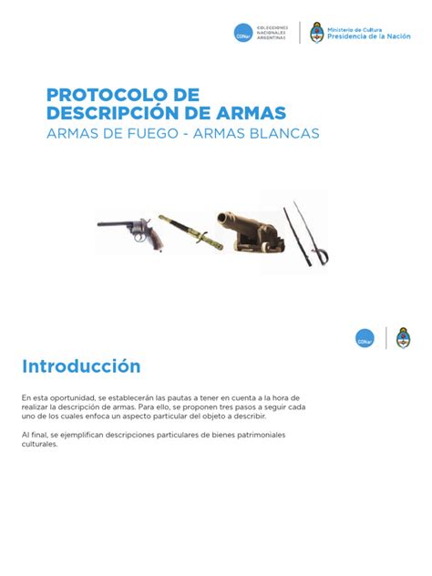 Protocolo Armas Pdf Armas De Fuego Espada