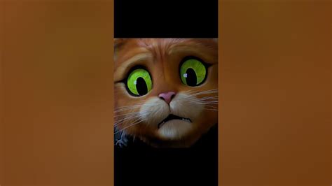 Puss In Boot Got Scared Youtube