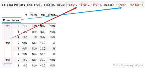 python 玩转数据 15 pandas 数据处理 拼接 ncat axis join ignore index
