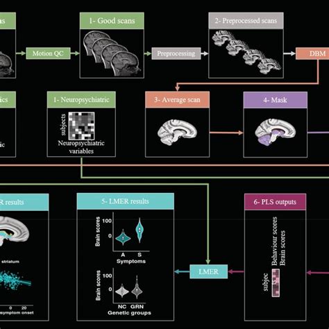 Chart Flow Of The Step By Step Methods And Analyses Used In This Paper