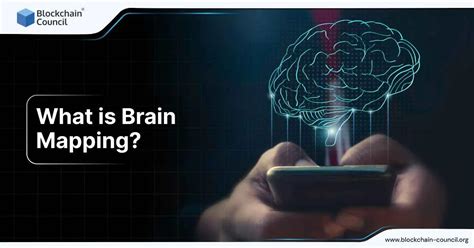 What Is Brain Mapping Blockchain Council