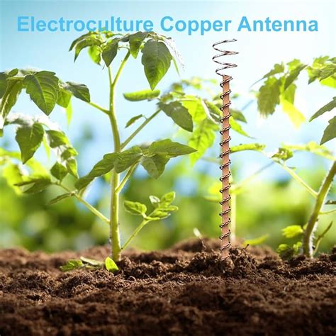 Electroculture Gardening