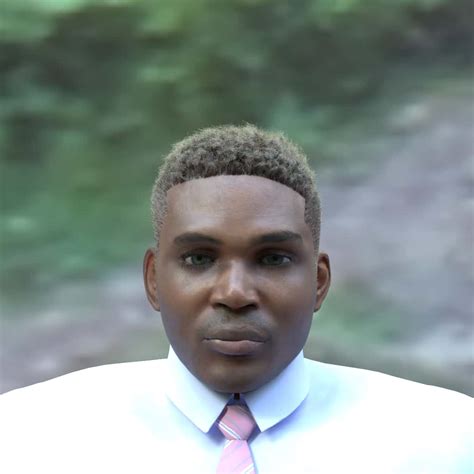 Synthesis Ais Face Api Inputs