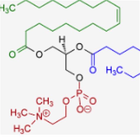 Jual Soya Lecithin Food Grade Pt Samiraschem Indonesia