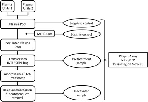 schematic experimental overview download scientific diagram
