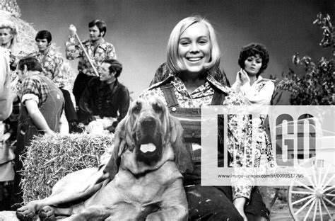 Cathy Baker Hee Haw Today