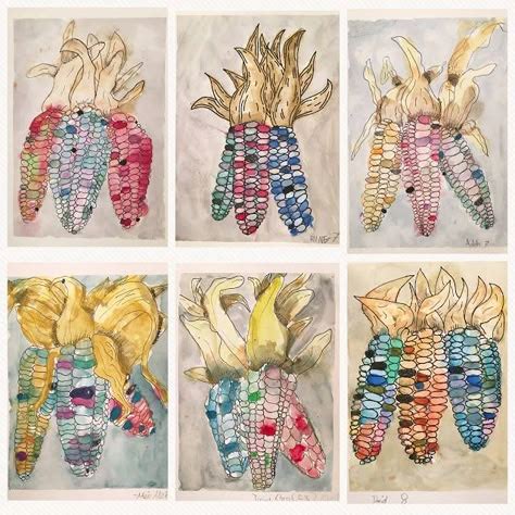 110 Best Corn Painting Ideas Corn Painting Corn Indian Corn