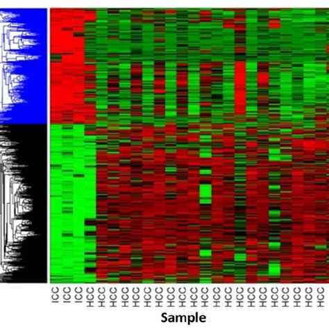 Row Clustered Heat Map Of The 849 Gene ICC Signature The First 3