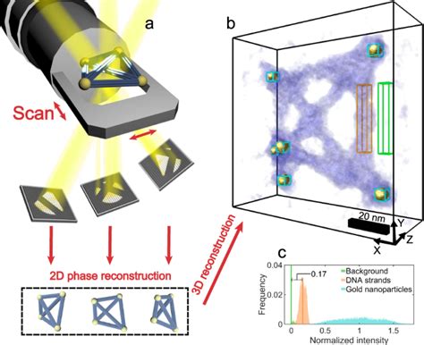 Three Dimensional Electron Ptychography Of Organic Inorganic Hybrid Nanostructures Nature