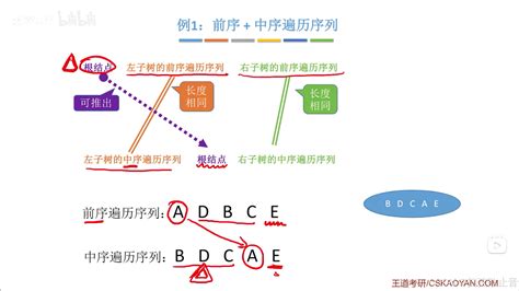 58由遍历序列构造二叉树二叉树的遍历题目及答案 Csdn博客