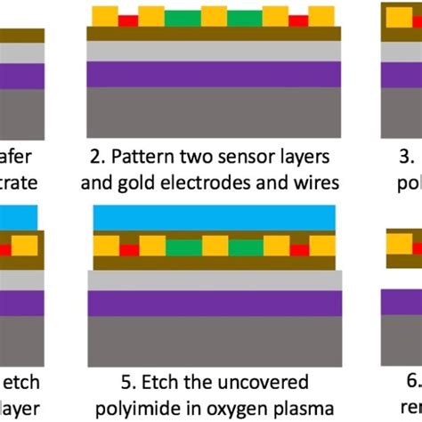 Fabrication Process Flow Of The Multifunctional Stretchable Sensor Download Scientific Diagram