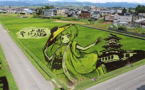 Video Enjoy Elaborate Rice Paddy Art And Lotus Flowers Near Misawa Ab