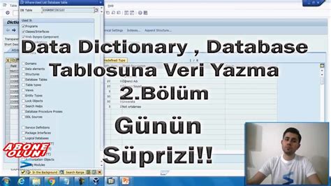 Sap Data Dictionary And Database Tablosuna Veri Yazma Güncelleme 2