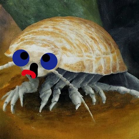 Exploding Dynamite Youtube