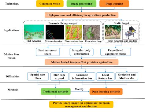 Figure 1 From A State Of The Art Review Of Image Motion Deblurring Techniques In Precision