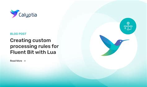 Creating Custom Processing Rules For Fluent Bit With Lua Calyptia