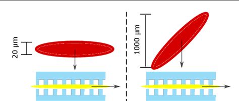 Pdf Optical Design For Increased Interaction Length In A High