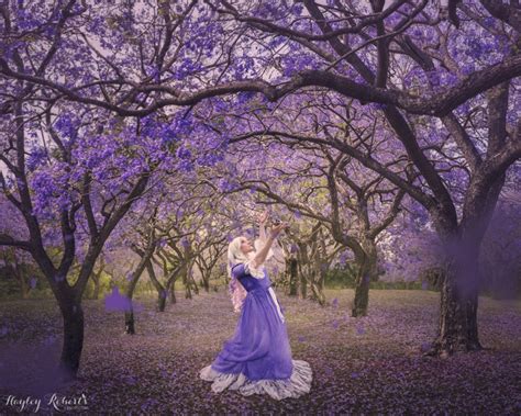 De Milagro Andamos Jacaranda Jacarandá