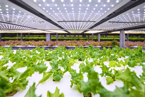 Why Regenerative Agriculture Is Better Than Traditional Farming