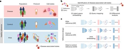 Using Healthy Reference Datasets To Discover Disease Associated Cell Download Scientific