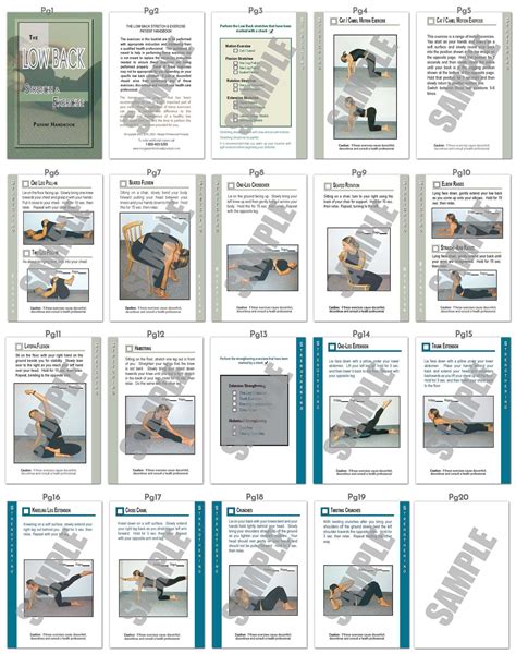 1 Incredible Exercise Handouts To Improve Patient Care