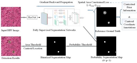 Overall Architecture Of The Proposed Contextual Prior Constrained Download Scientific Diagram