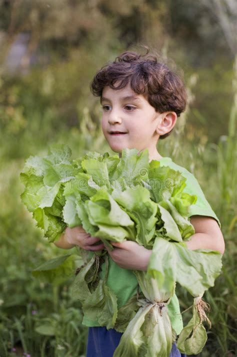 男孩高清图片 小男孩抱着一捆新鲜的绿叶蔬菜 小男孩抱着一捆新鲜的绿叶蔬菜图片免费下载 5136123783 千图网pro