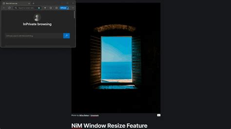 Nim Window Resize Feature V3111