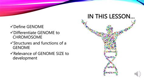 Day 2 Eukaryotic Genome And Its Utilization In Development Andpptx