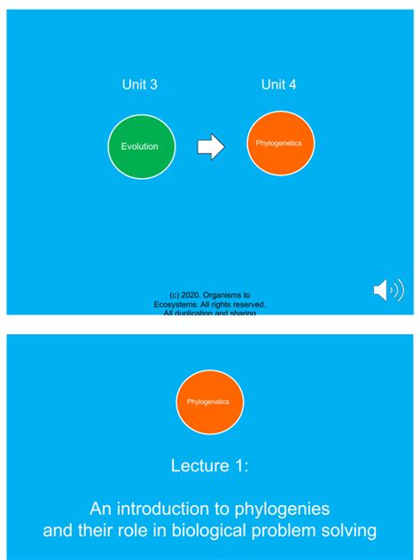 F20 Unit 4 Phylogeny Lecture 1 Pdf Pdf Phylogenetic Tree