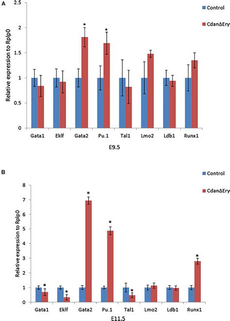 Frontiers Cdan1 Is Essential For Primitive Erythropoiesis