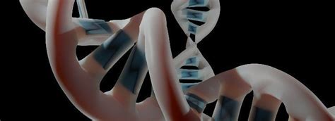 Incorporating Horizontal Plasmid Transfer Findings In Bacterial Infection… Leanne Potente